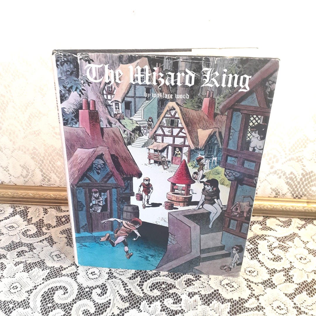 The Wizard King Fantasy Art Book: Wallace Wood Graphic Novel, 1978 ...