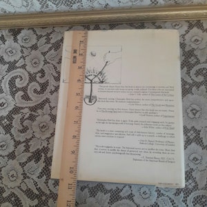 The Divining Hand: the 500 Year-old Mystery of Dowsing, by Christopher Bird, Vintage 1979 First ...