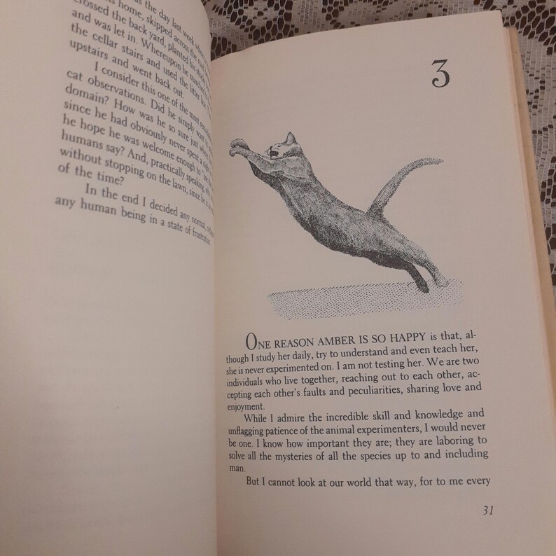 Vintage Cat Book: Conversations With Amber by Gladys Taber, 1978 ...