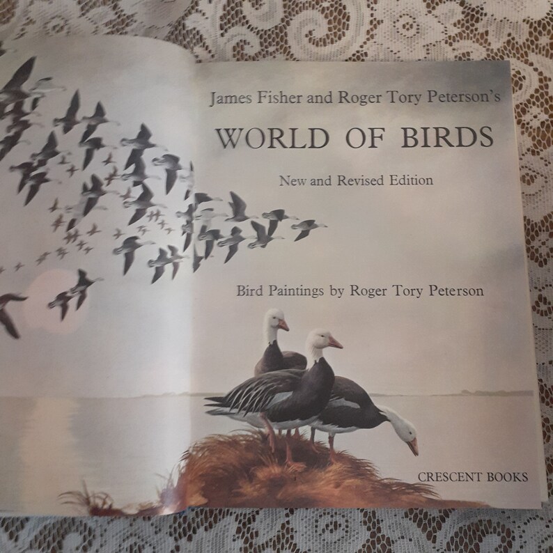 Vintage Birdwatching Book: World of Birds, 1970s Hardcover Nature Guide ...