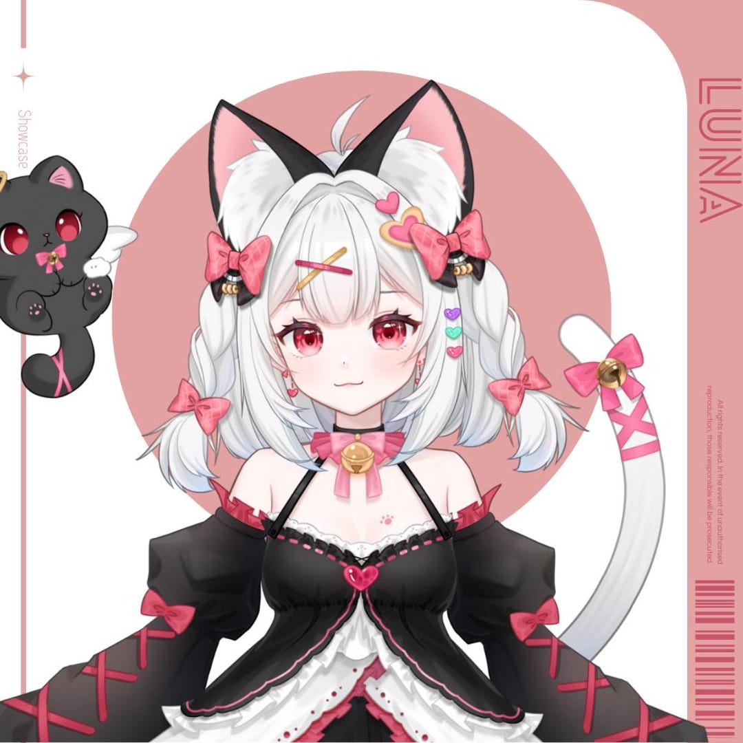 Live2d Public Premade Model Vtuber | 【luna】 | 14 Expressions - Etsy