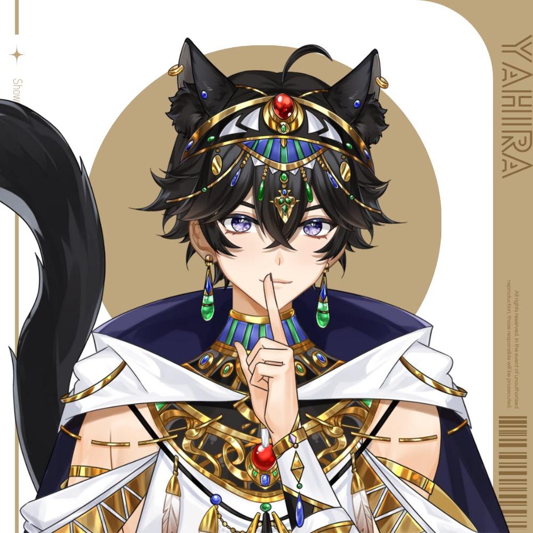 Live2d Public Premade Model Vtuber | 【yahira】 | Over 12 Expressions - Etsy