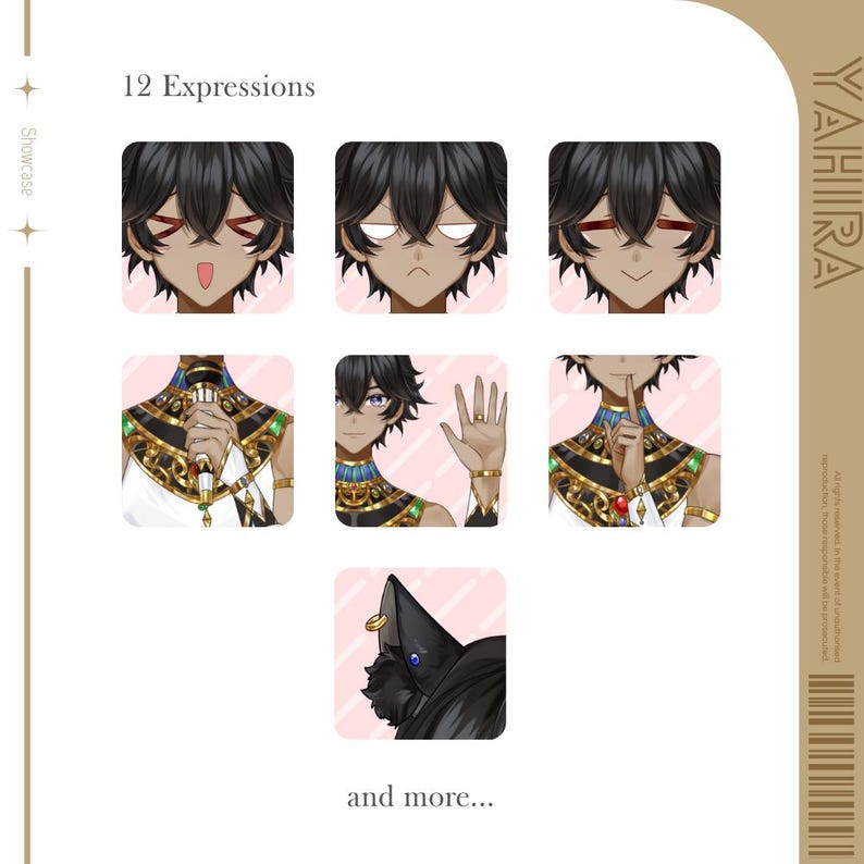 Live2d Public Premade Model Vtuber | 【yahira】 | Over 12 Expressions - Etsy