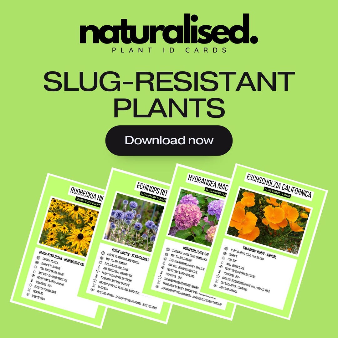 Plant ID Cards Slug-resistant Plants 42 Cards - Etsy