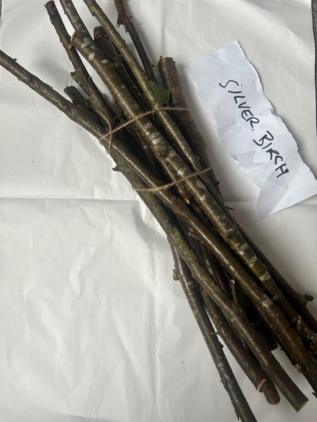 Organic Silver Berch Wood Stick Wand. Real Magic Wand, Wizard , Spell ...