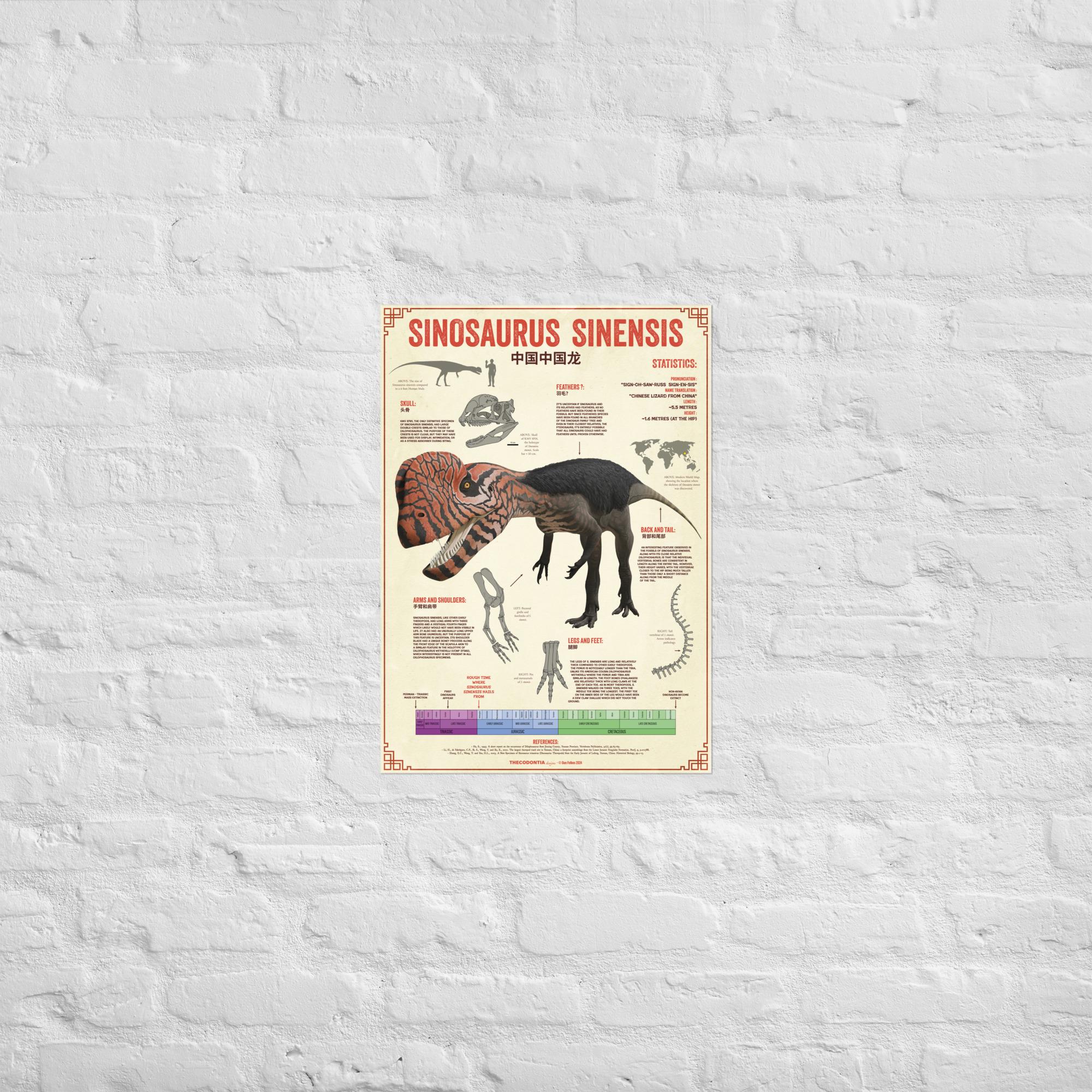 Sinosaurus Sinensis Poster - Etsy