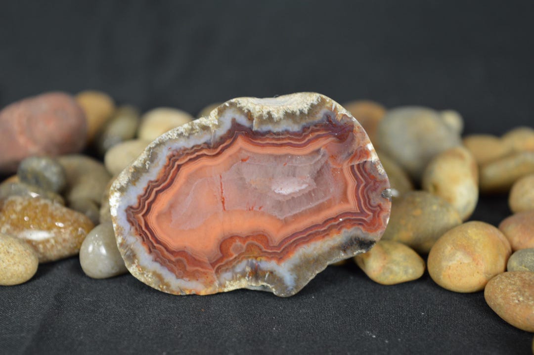 Stunning Snowball Agate Specimen Half Polished Nodule Raw Rough Geode ...