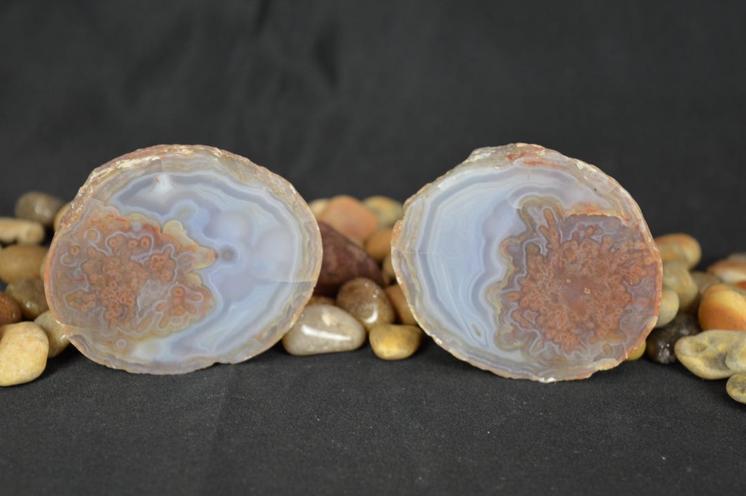 Stunning Snowball Agate Specimen Pair Polished Nodule Raw Rough Geode ...