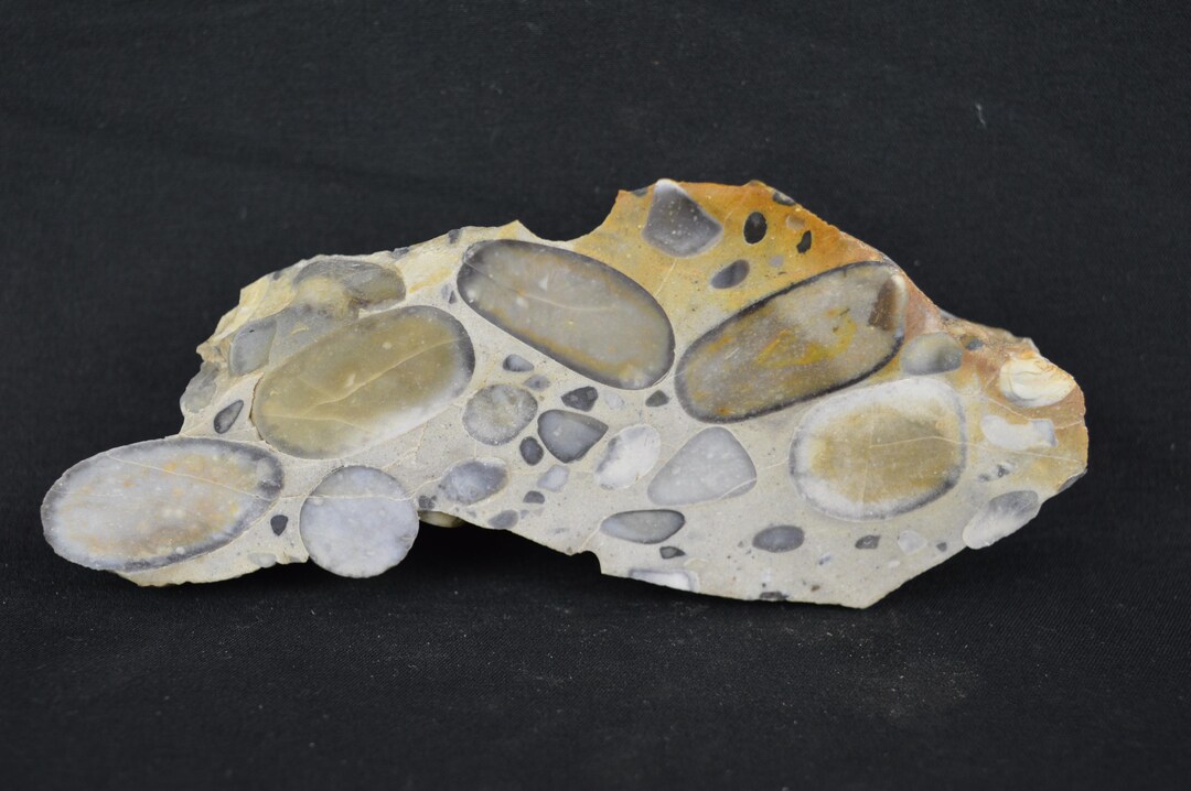 Stunning Pudding Stone Conglomerate Specimen Chakra Meditation Raw ...