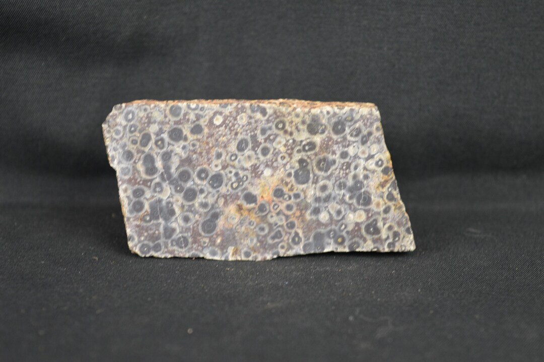 Stunning Birdseye Rhyolite Specimen Unpolished Chakra Meditation Raw ...