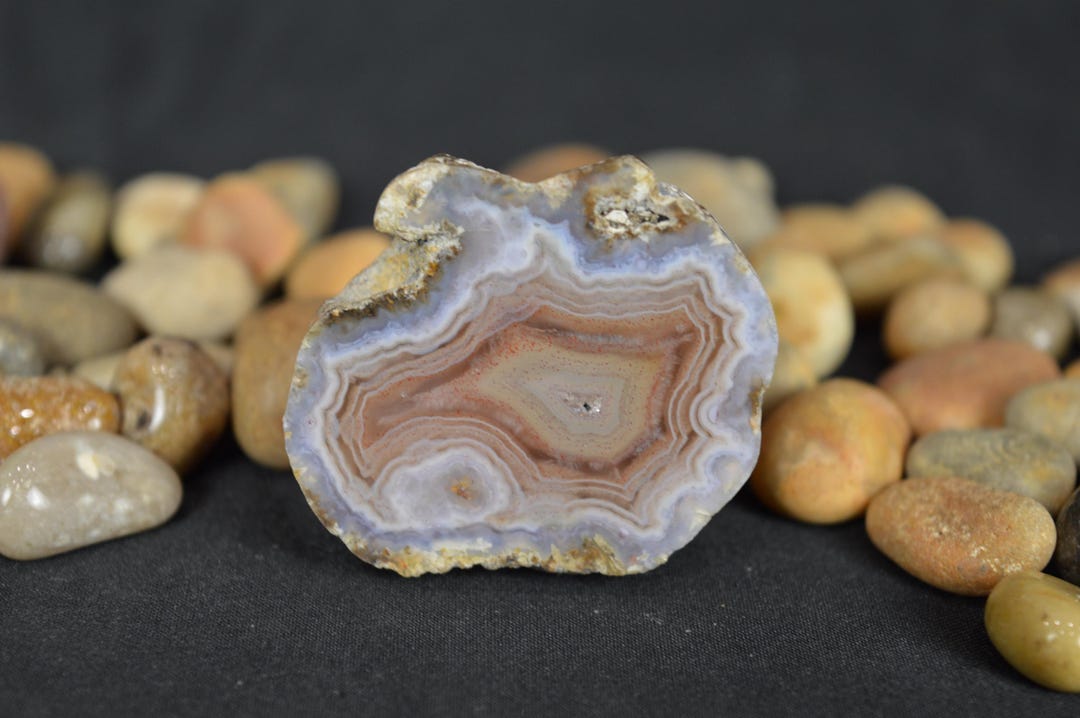 Stunning Snowball Agate Specimen Half Polished Nodule Raw Rough Geode ...