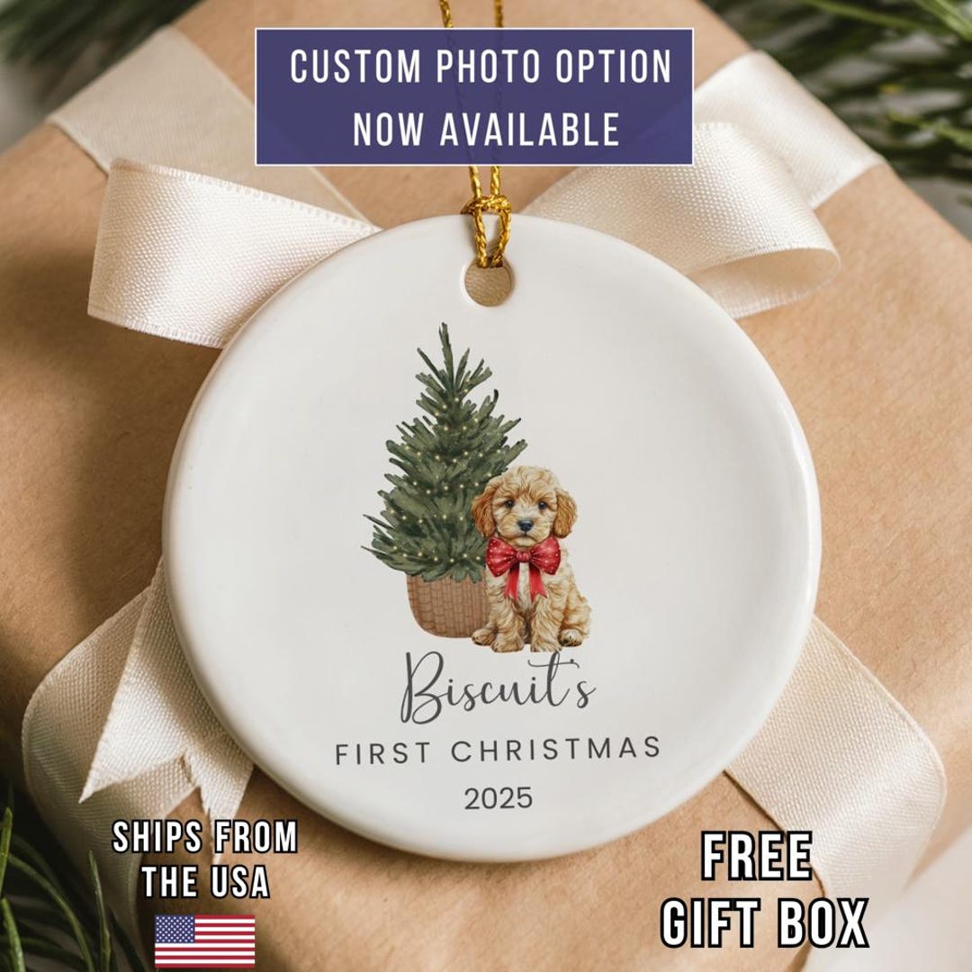 Personalized Labradoodle Puppy's First Christmas Ornament: Ceramic ...