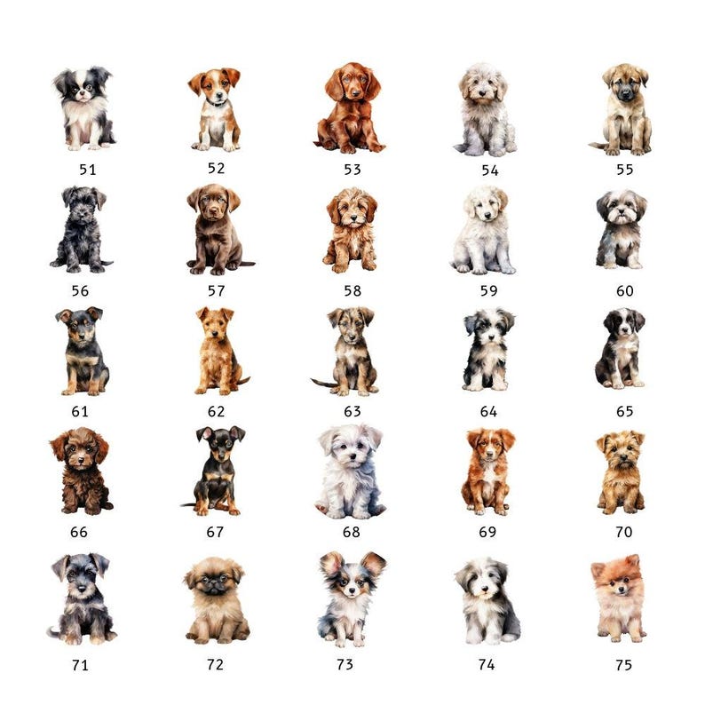 Personalized Puppy's First Christmas Ornament, Dog's 1st Xmas Bauble ...