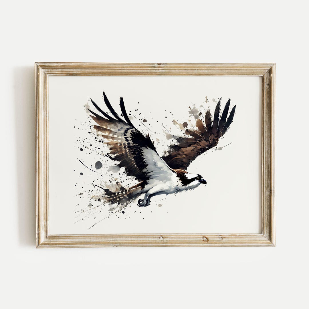 Osprey Watercolor Acrylic Poster Print, Bird Wall Art, Nature-inspired ...