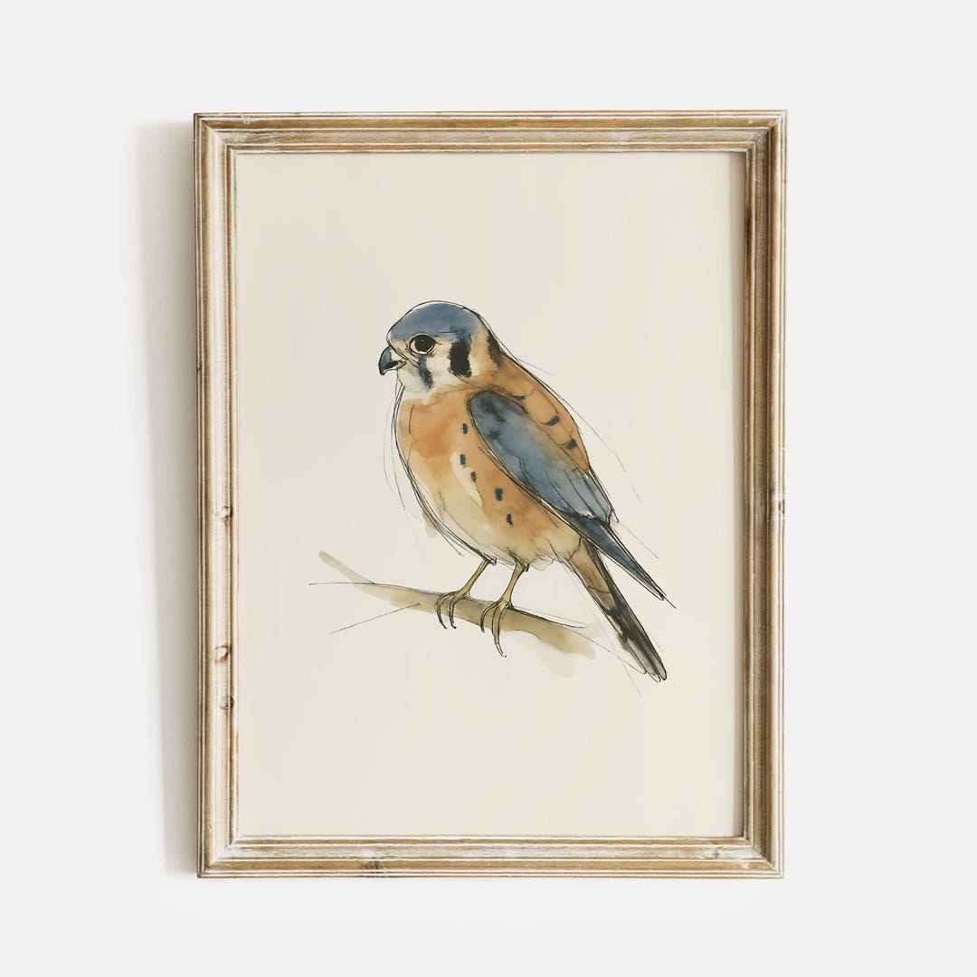 American Kestrel Watercolor Poster Print, Bird Lovers Wall Art, Ink ...
