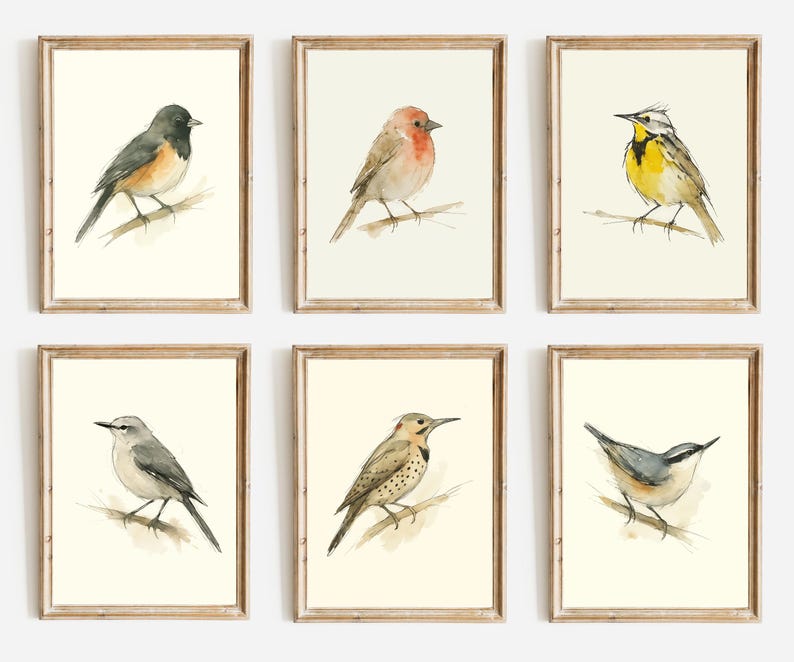 Tufted Titmouse Watercolor Poster Print, Songbird Wall Art, Ink & Wash ...