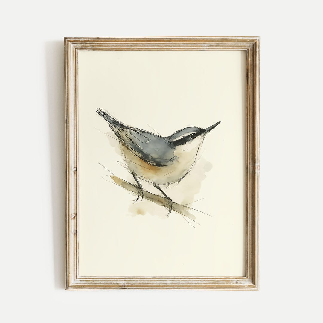 Nuthatch Watercolor Poster Print, Songbird Wall Art, Ink & Wash Nature ...