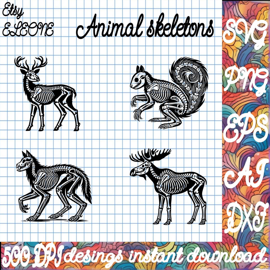 Animal Skeleton SVG Bundle for Cricut, Dog, Cat, Rooster Chicken ...