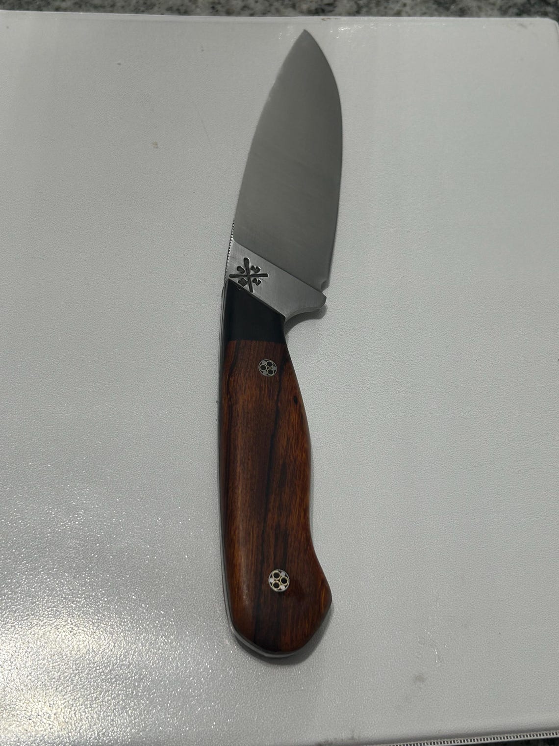 Handmade Camping/hunting Knife - 5160 Spring Steel Blade, Desert ...