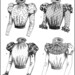 VICTORIAN LADIES Blouses-historical Sewing Pattern-three Styles-sleeve ...