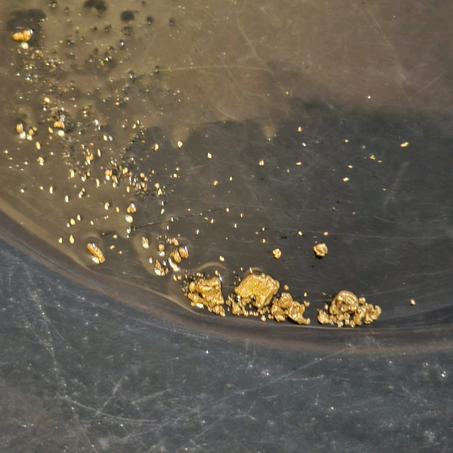 2lb. Super Rich!! Mother Lode CA Gold Paydirt ! GOLD GUARANTEED! - Etsy