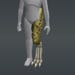 Roblox DLC T Rex Skeleton Bundle Limited Edition *DIGITAL Code ...
