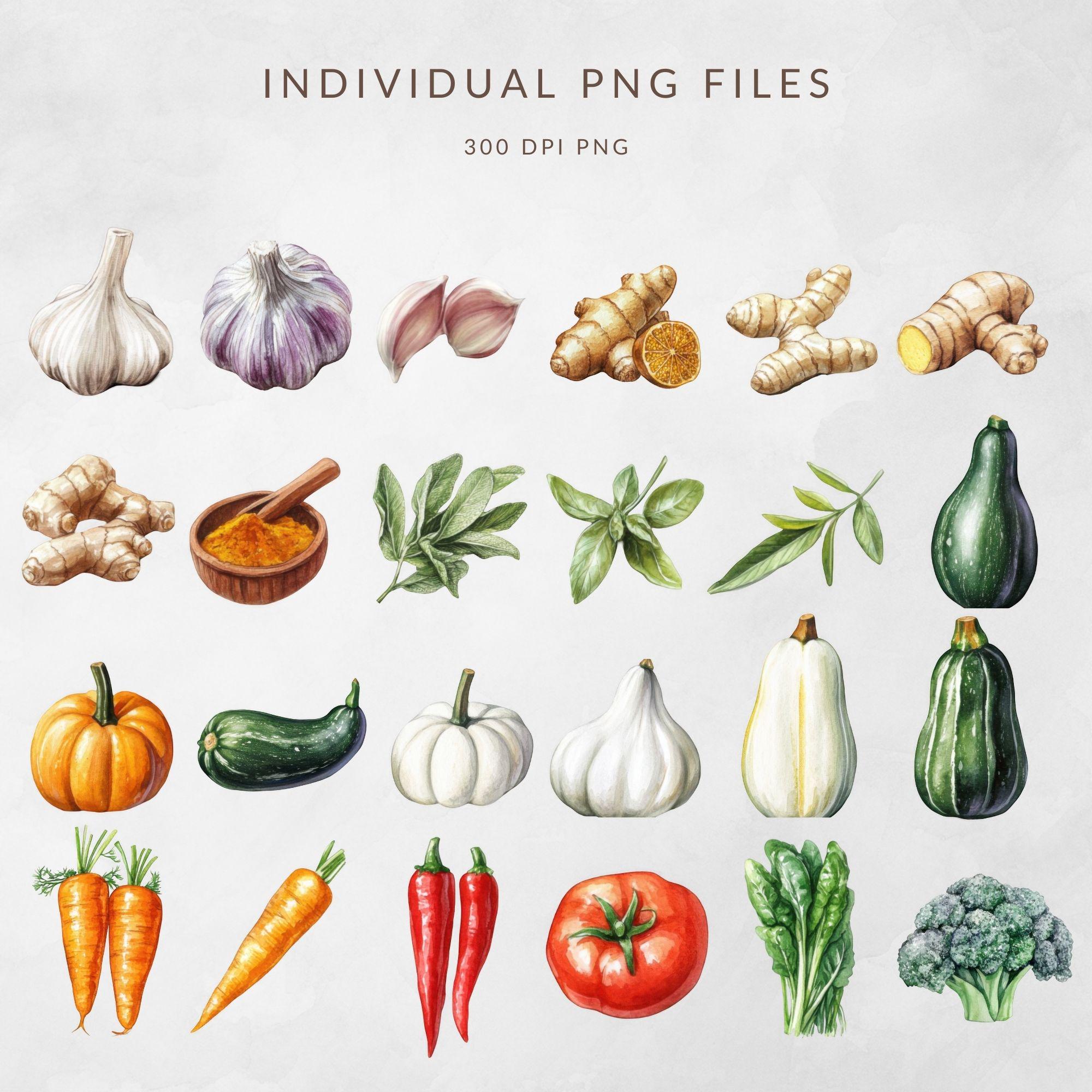 Healthy Food Clipart | Watercolor Fruit and Vegetable | Healthy Food ...