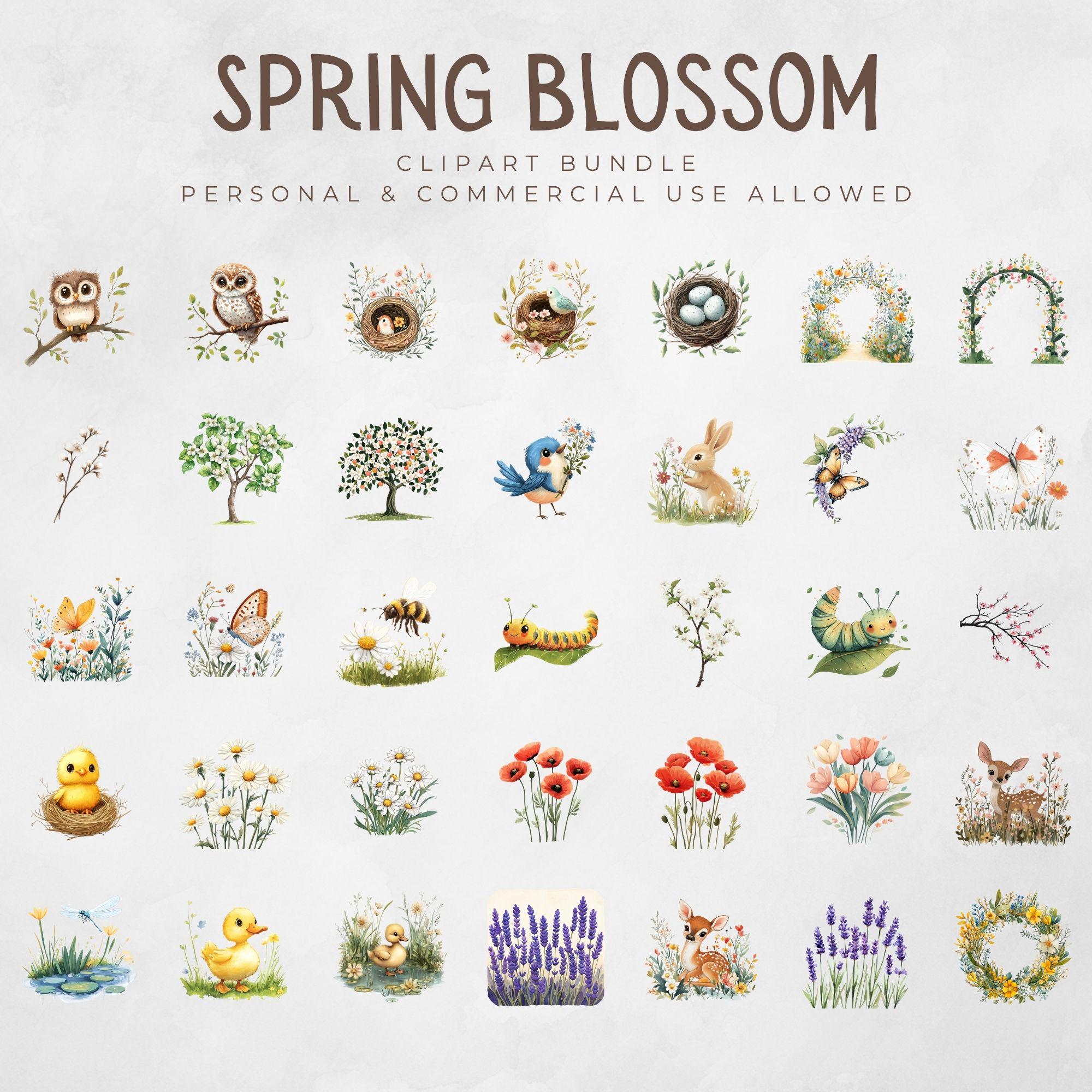 Spring Blossom Clipart Bundle | Cute Spring Clipart | Watercolor ...