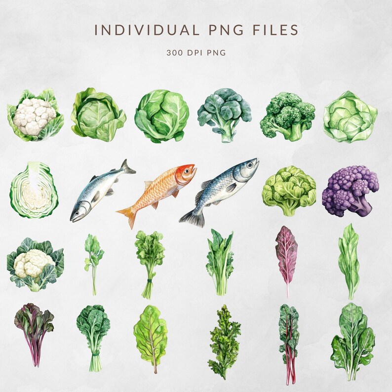 Healthy Food Clipart Watercolor Fruit and Vegetable Healthy Food PNG ...