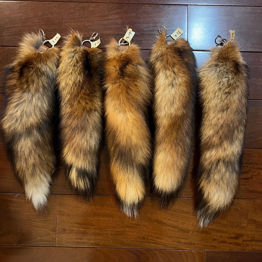 Ethical Wild Red Fox Tails // Taxidermy // Lunawildstudios - Etsy