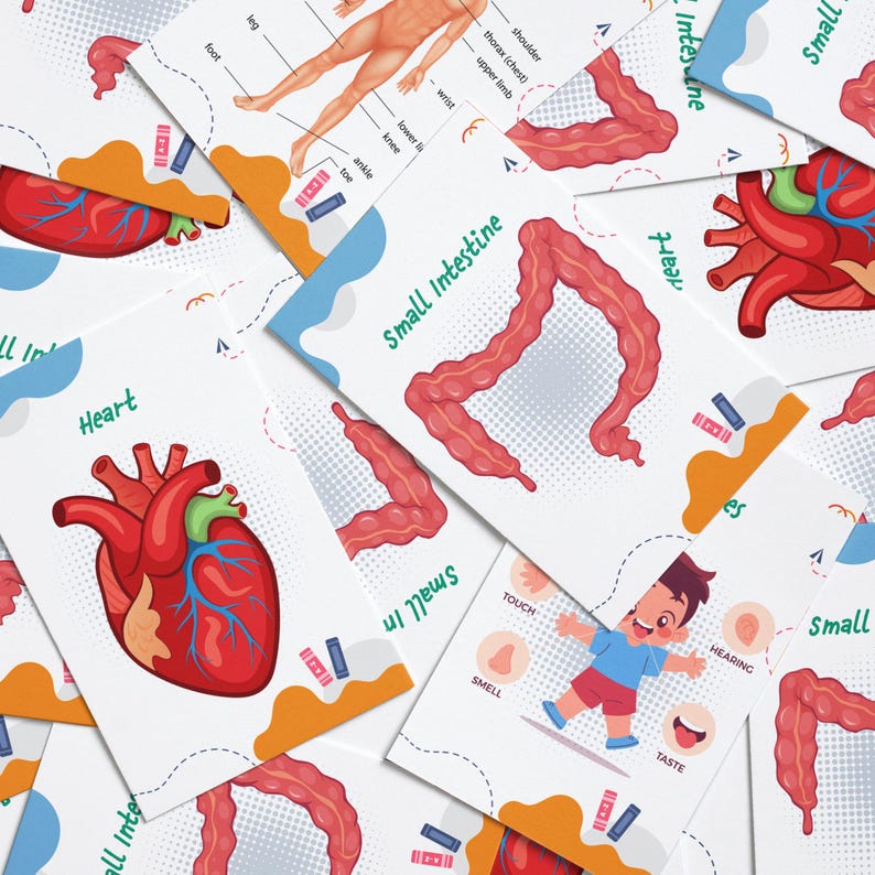 Human Body Systems Activity Book: Kids' Science Worksheets (20 A4 ...
