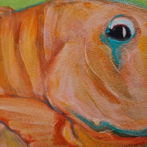 Red Snapper Fish Original Acrylic Paintings Key West Challenge Medium ...