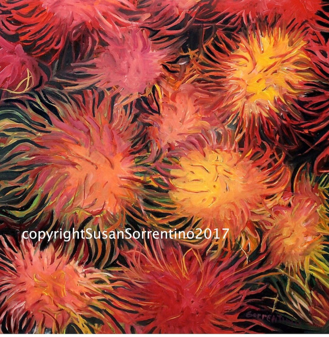 Rambutan Lychee Oil Painting Original by Susan Sorrentino Kitchen ...
