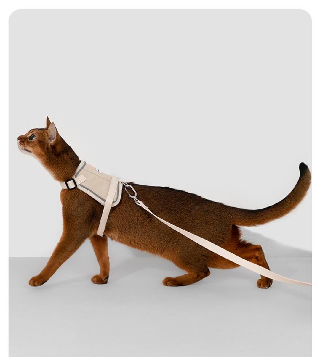 Reflective Cat Harness With Leash: Adjustable, Escape Proof, Locator ...