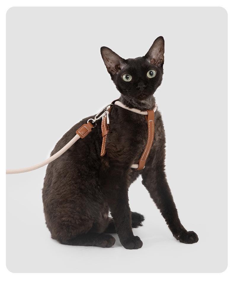 Escape Proof Cat Harness and Leash Set: Soft Nylon With Leather Trim - Etsy