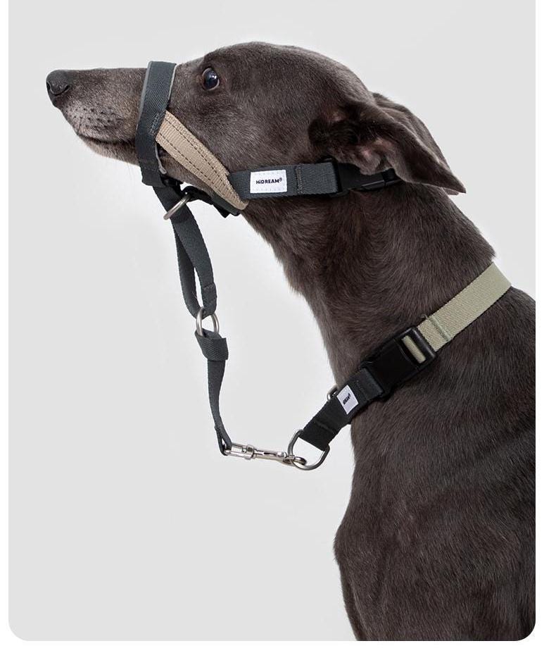 Dog Halter&training Head Collar, Comfortable Dog Muzzle, Easy Wear, Dog ...