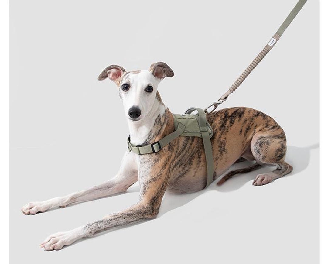 Reflective Dog Harness: Adjustable, Waterproof Nylon With Locator Bag ...