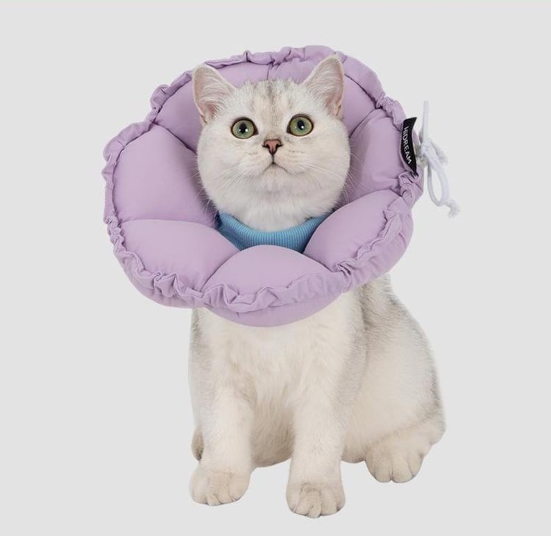 Soft Comfy Recovery Cone, Dog Cat Recovery Collar, Pet Soft Cone ...