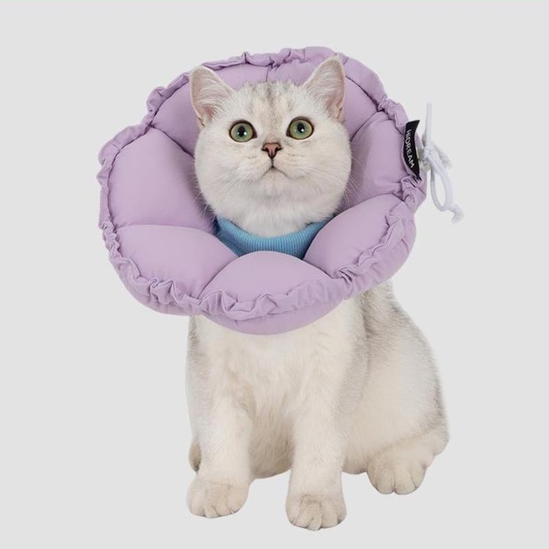 Elizabeth Cone - Etsy