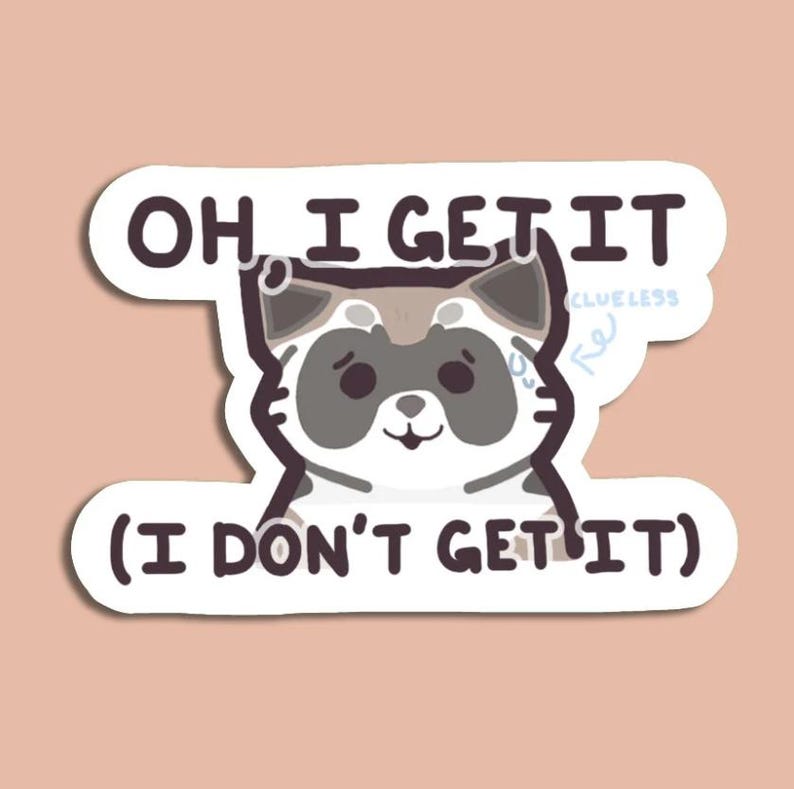 Cute Dumb and Smart Raccoon Sticker Set 3 Ct. ~ Funny Cute Glossy Vinyl ...