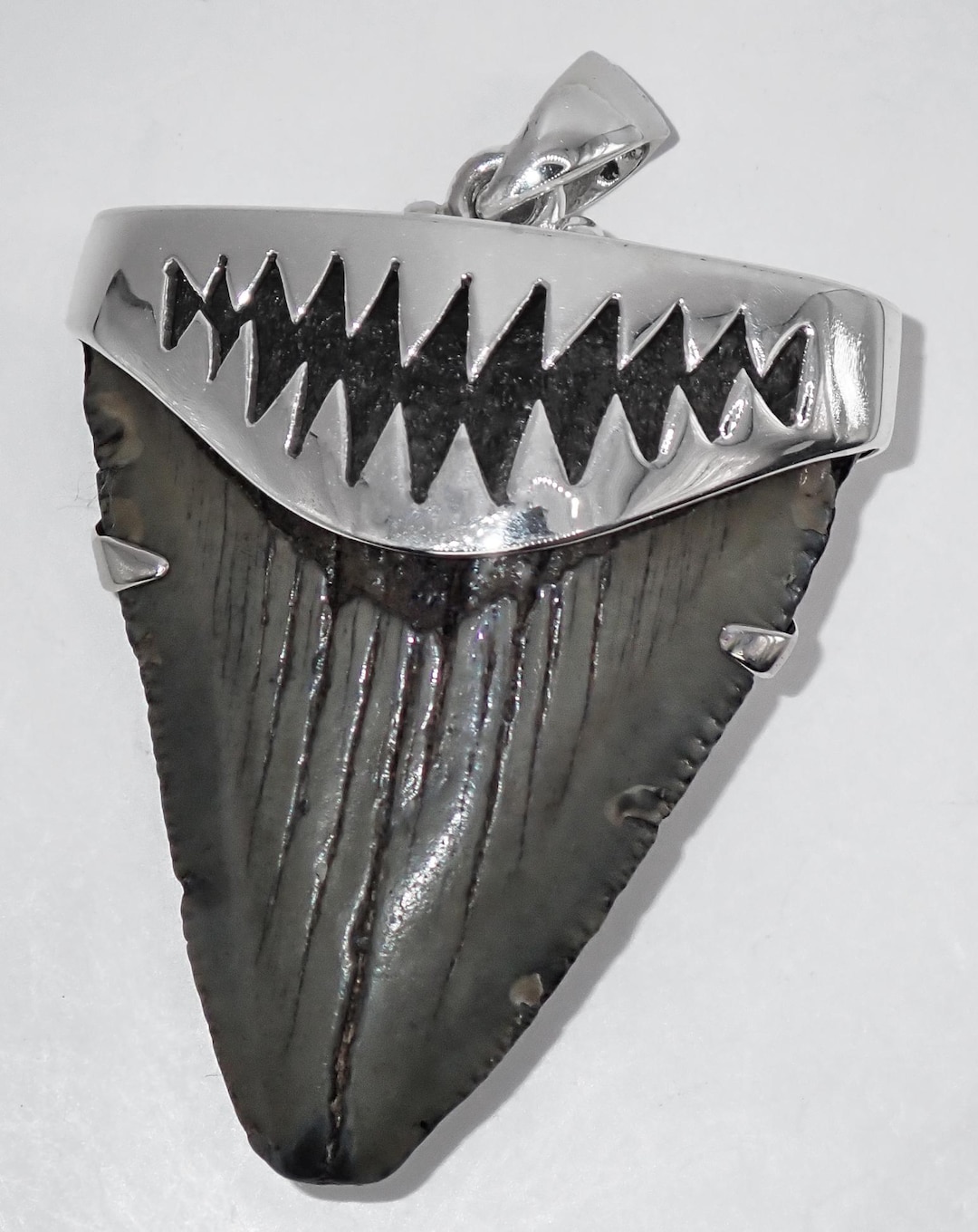 Fossil Shark Tooth Pendant, Megalodon Tooth, With 925 Sterling Silver ...