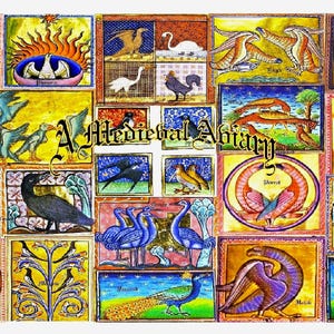 Medieval Aviary Paper Placemats - Set of 12 - Etsy