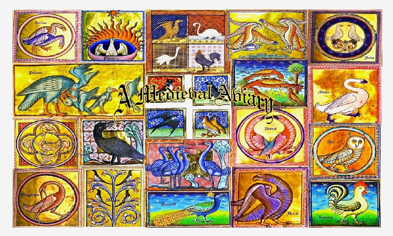 Medieval Aviary Paper Placemats - Set of 12 - Etsy