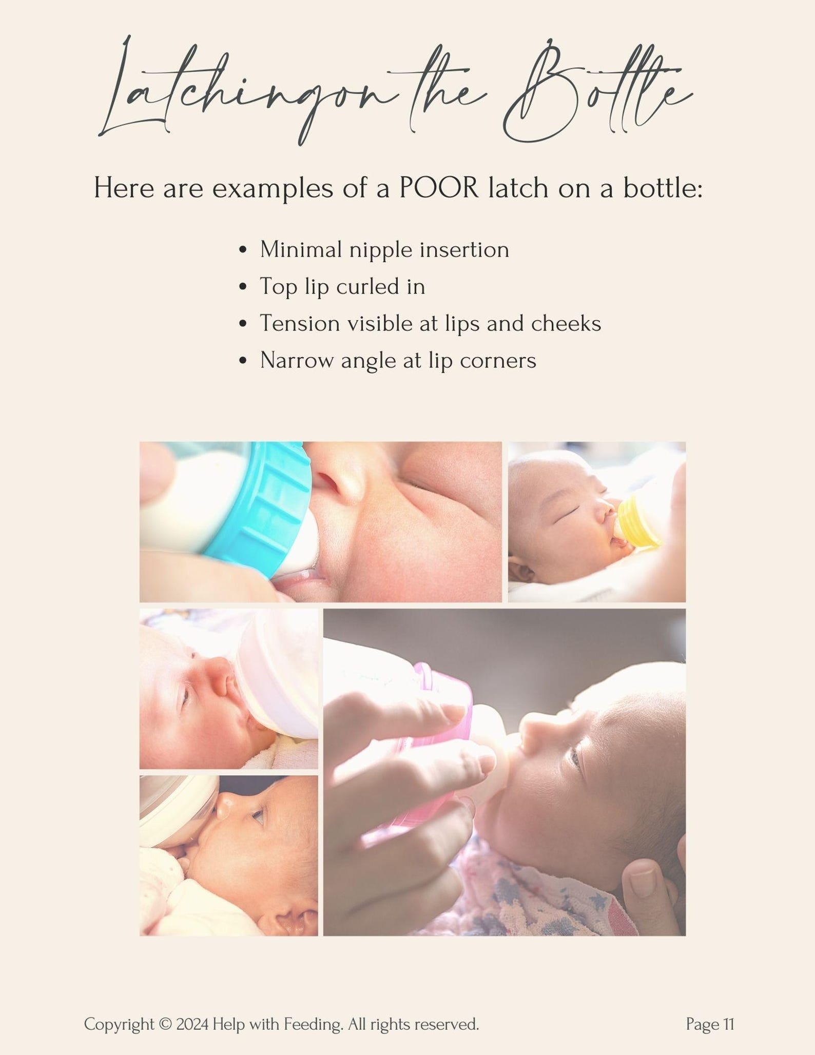Bottle-feeding Essentials - Parent and Caregiver Guide to Feeding Your ...