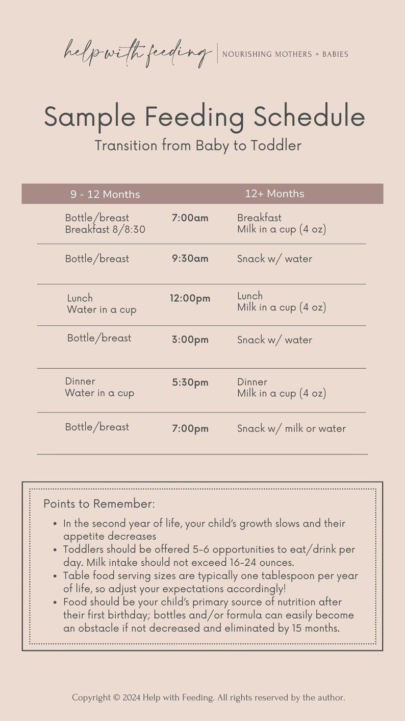 Toddlers at the Table - Quick Guide to Surviving Mealtimes and ...