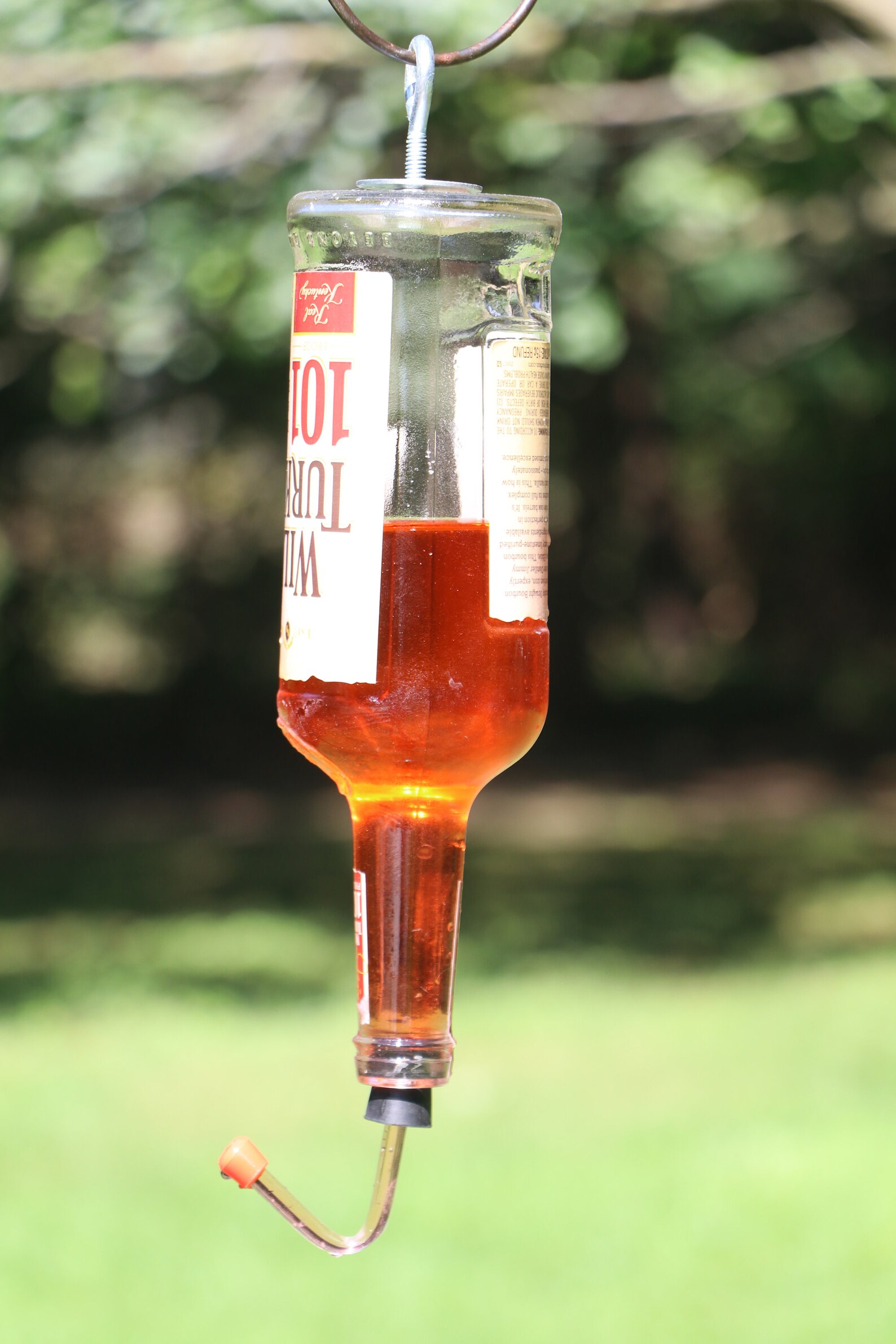 NEW FEEDER Wild Turkey Hummingbird Feeder - Etsy