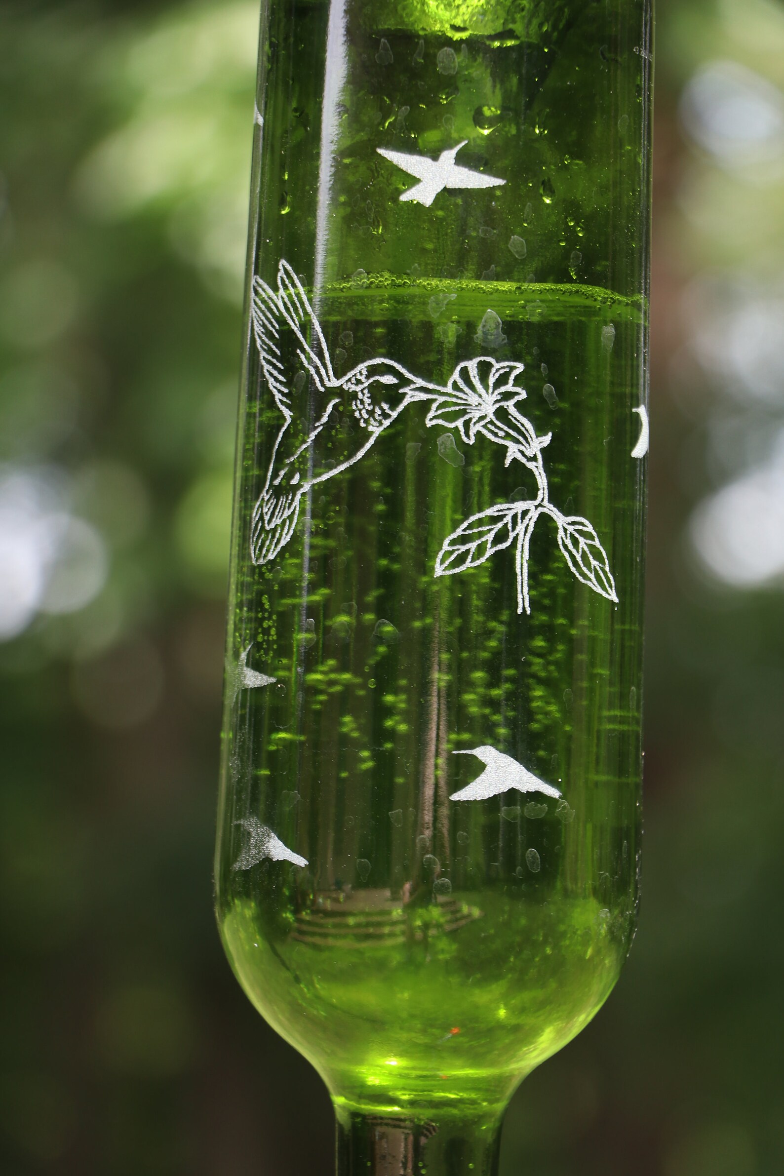 NEW ETCHED Hummingbirds Recycled Wine Bottle Hummingbird or Bird Feeder ...