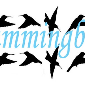 24 Birds and Hummingbirds Nail Decals - Etsy