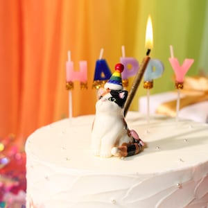 Calico Cat Rainbow Hat Cake Topper Adorable Ceramic Figurine Handmade ...