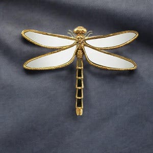 Butterfly Dragonfly Mirror, Beauty Decorative Mirror, Home Decor ...